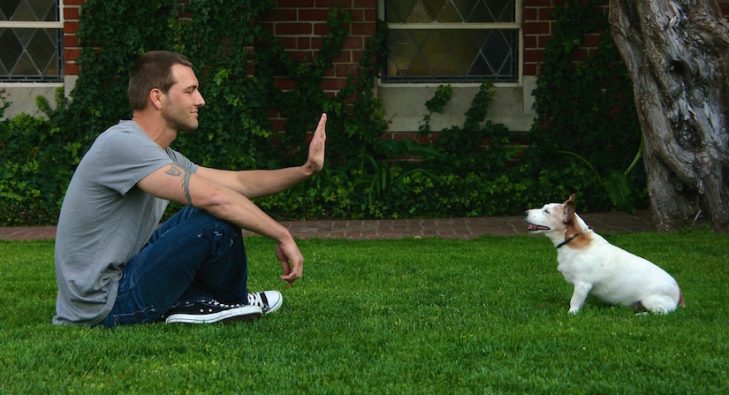 5 Ways To Communicate Better With Your Dog - The Pet Town