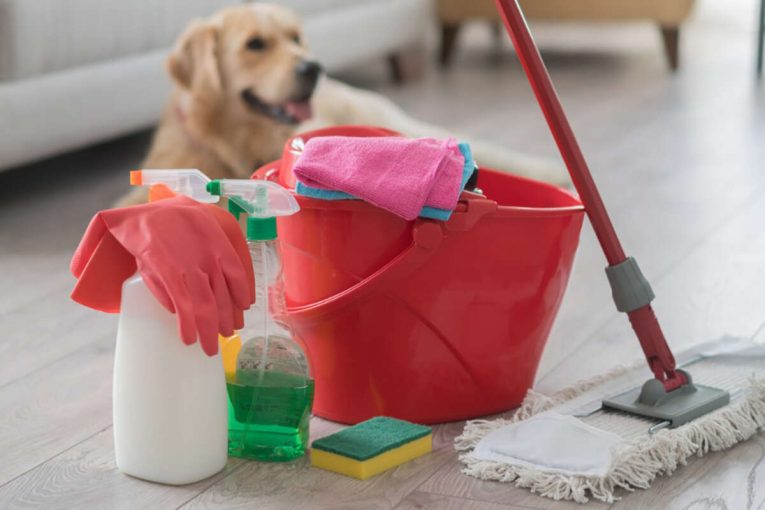 7 Housekeeping Tips For Busy Pet Owners - The Pet Town
