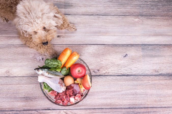 Raw Food Diet: A Guide For Fur Parents - The Pet Town