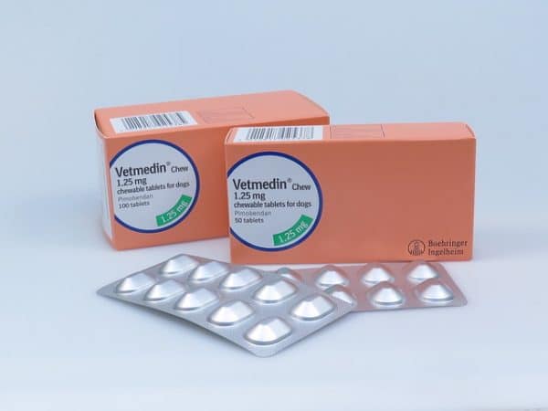 What Are the Side Effects of Vetmedin for Dogs – How and Why This Drug ...